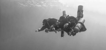Home » Third Dimension Diving